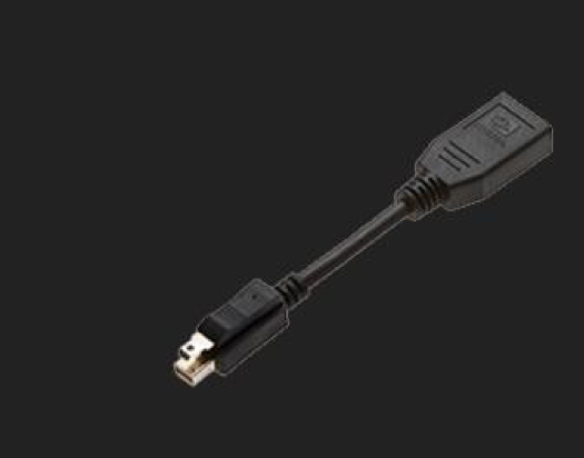 PNY Pro Tips #5: PNY Quadro Video Adapters